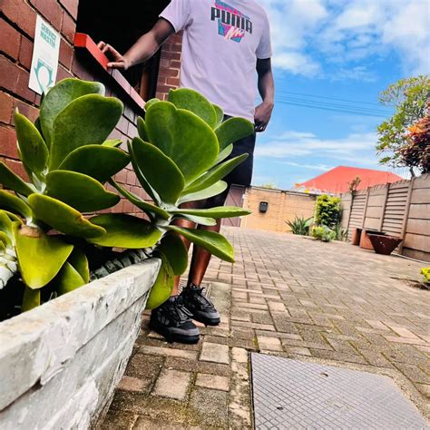 Yanga Mtolo Mtolo Yanga • Instagram Photos And Videos