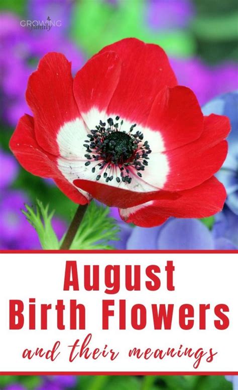 Birth Flower For The Month Of August At Thomas Murrow Blog