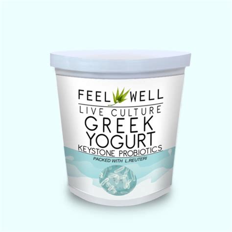 Keystone Probiotic Greek Yogurt 400g L Reuteri Feel Well