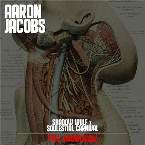 Stream Aaron Jacobs Live The Darkside 031823 By Shadow Wulf