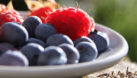 Using Java Collectors Novixys Software Dev Blog