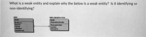 Solved What Is A Weak Entity And Explain Why The Below Is A Weak