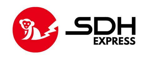 Sdh Supply Chain Management Sdh Express Parcel Tracking China