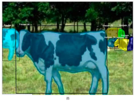 Transfer Learning Driven Cattle Instance Segmentation Using Deep
