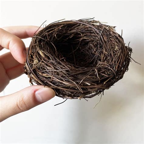 Artificial Birds Nests At Susan Guthrie Blog