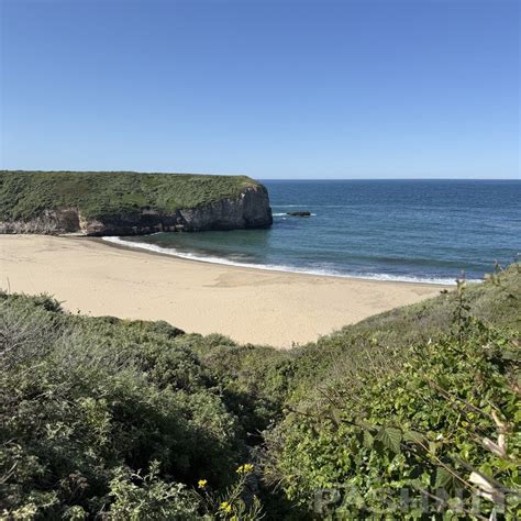 Bonny Doon Beach Ca