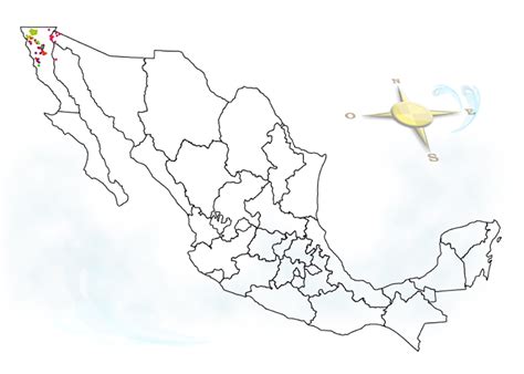 Atlas De Las Lenguas Indígenas De México Con Php2