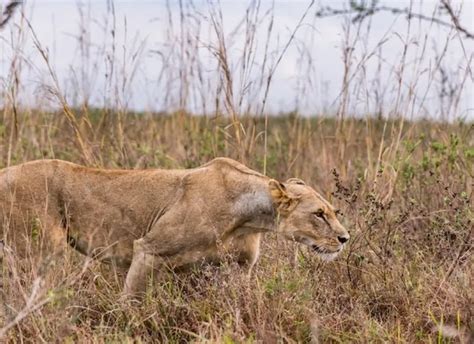 Anatomy Of A Ransomware Attack Thomas Murray