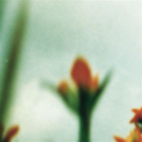 Nin The Fragile Ipad Wallpaper Ipad Wallpaper Wallpaper The Fragile