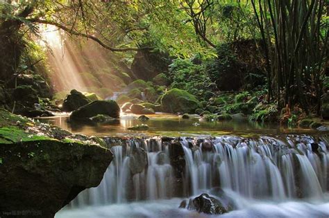 Vocation Versus Profession