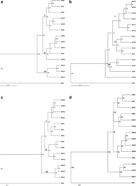 Upgma Dendrogram Based On Neis Genetic Distance Using A Rapd Data