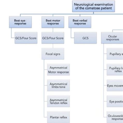 Medical Research Council Mrc Sumscore Download Table