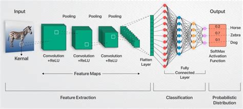 顯微鏡影像的 Cnns：深度解析 Ai 類神經網路在影像分析中的應用