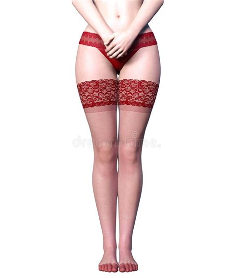 Long Slender Legs Woman Stockings Stock Illustration Illustration Of