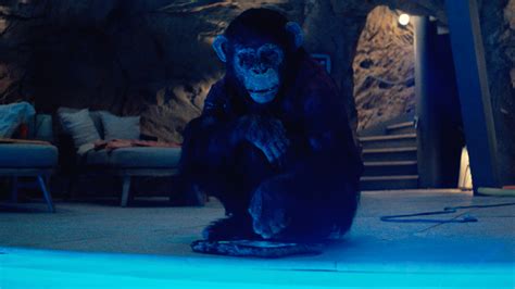 Rabies Rage And A Guy In A Monkey Suit Primate Goes Full