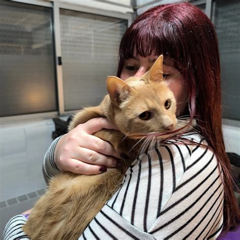 Cafelino Café And Adoption Center Montevideo