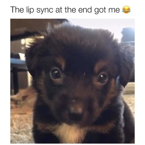 Crazy Funny Memes Discover 18 Funny S Ideas On This Pinterest Board