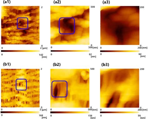 Pdf Electron Microscopic Confirmation Of Anisotropic Pore
