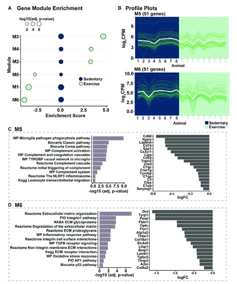 Modular Gene Co Expression Analysis Identifies Inflammatory And