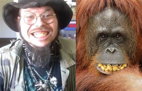 Return To Monke Scrolller