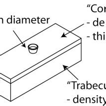 Different Density And Thickness Combinations Used In The Experiments Download Scientific