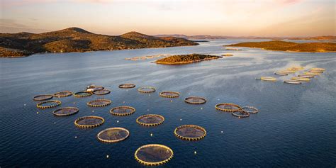 Onze Garantie Asc Netherlands