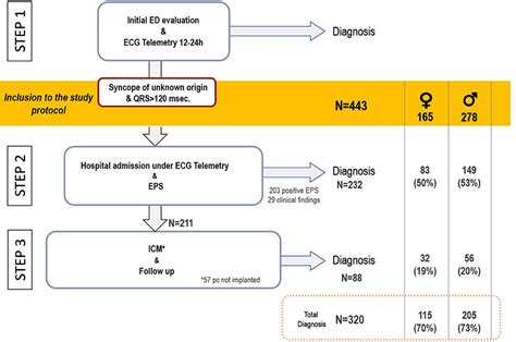 Frontiers Sex Related Differences In Patients With Unexplained