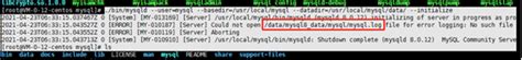 Bash Mysqld No Such File Or Directory Csdn博客