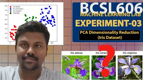 Effortlessly Reduce Iris Dataset From 4 To 2 Dimensions Using Pca In