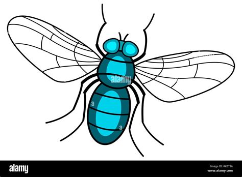 Illustration Of The Fly Insect Icon Stock Vector Image And Art Alamy