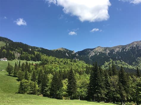 Pensiunea Gainusa De Munte Inn Reviews Cheia Romania