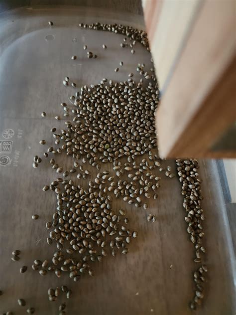 Made A Seed Cleaner Separator R Microgrowery