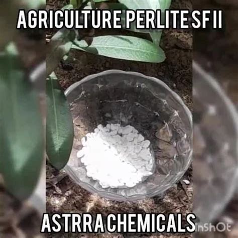 Perlite Powder Expanded Perlite Powder Manufacturer From Chennai