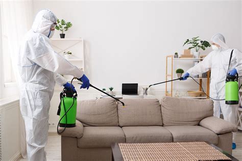 Bed Bugs Control In Dubai Fast And Reliable Services