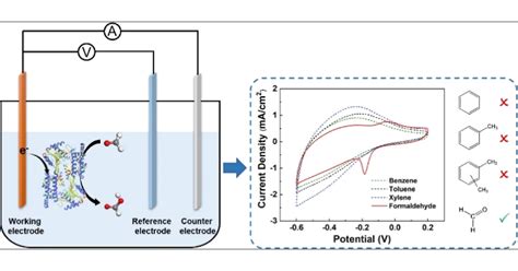 Highly Sensitive And Selective Detection Of Formaldehyde Via Bio