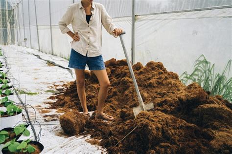 How To Make Your Own Compost At Home