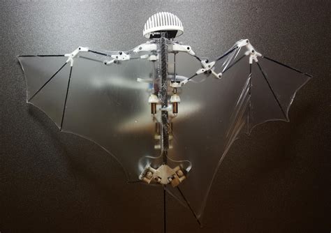 Bat Bot Can Pull Off Impressive Aerial Acrobatics Live Science