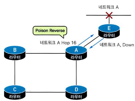 Computer Network 07 라우팅3