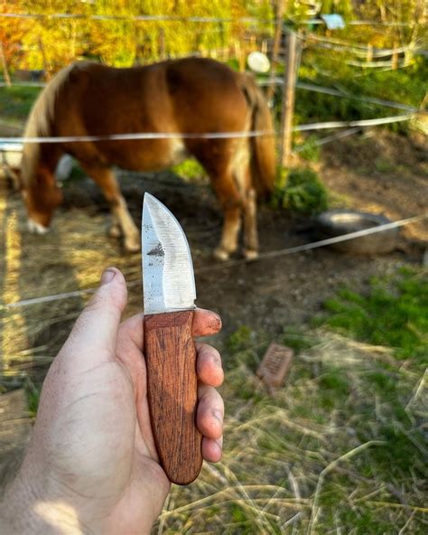 New Knife Forged For My Wife With Choil To Make Sharpening Process A
