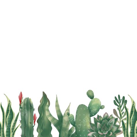 투명 배경에 수채화 선인장 식물 그림 선인장 수채화 선인장 수채화 Png 일러스트 및 Psd 이미지 무료 다운로드 Pngtree