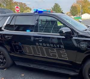 Wag Those Tails Brooklyn Police Restarting K 9 Unit