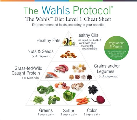 Reclaim Your Health By Implementing The Wahls Protocol® With A