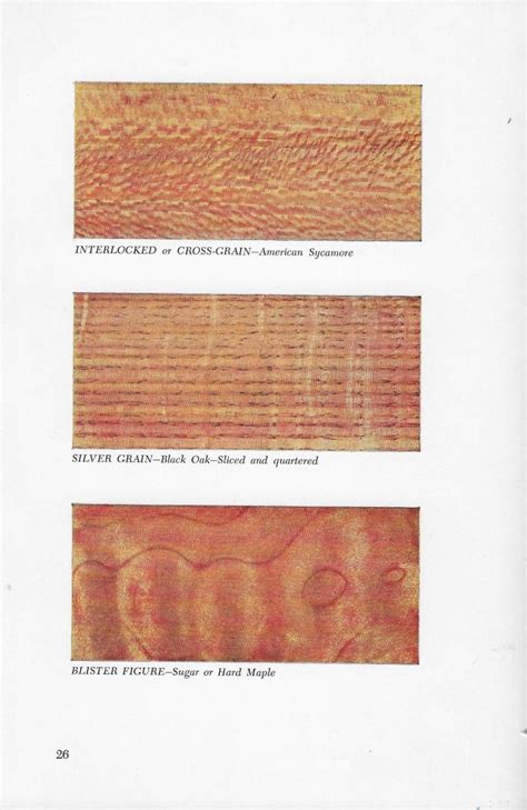 Wood Grain Identification Chart A Guide To Wood Types