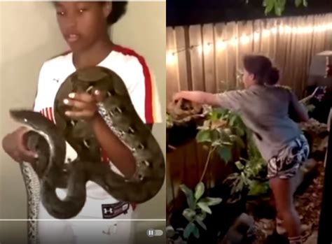 Brave 16 Year Old Nabs Stray Python In Neighbors Yard Video