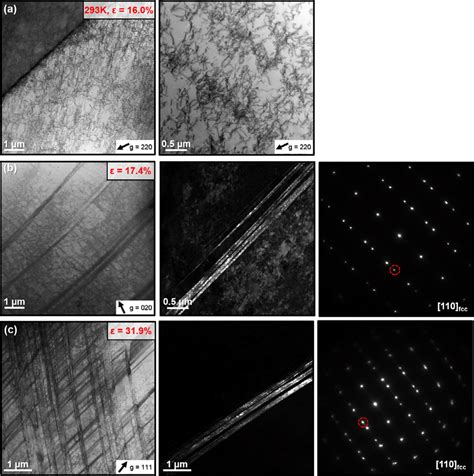 Tem Micrographs Showing The Microstructural Evolution With Increasing Download Scientific
