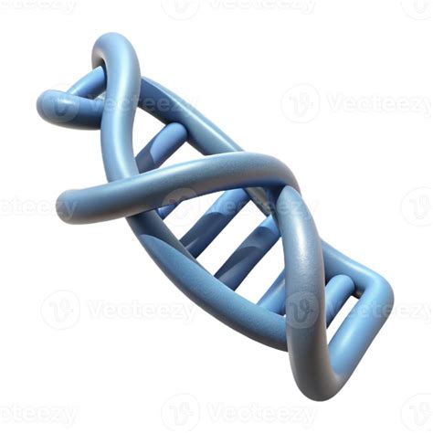 Stunning Classic Simple Dna Structure Illustration Isolated On White