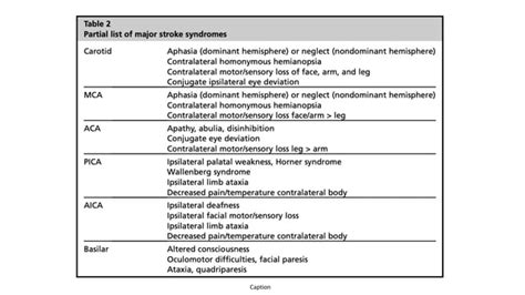 2 Stroke Localisation Pdf