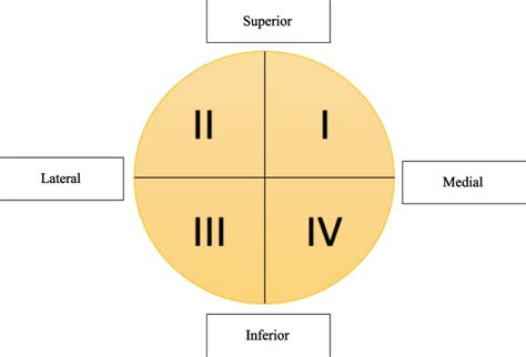 Male Sex Is An Independent Risk Factor For Patellar Osteochondral