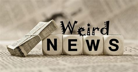 Top Weird News Stories Of 2017 So Far News