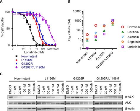 Sequential Alk Inhibitors Can Select For Lorlatinib Resistant Compound